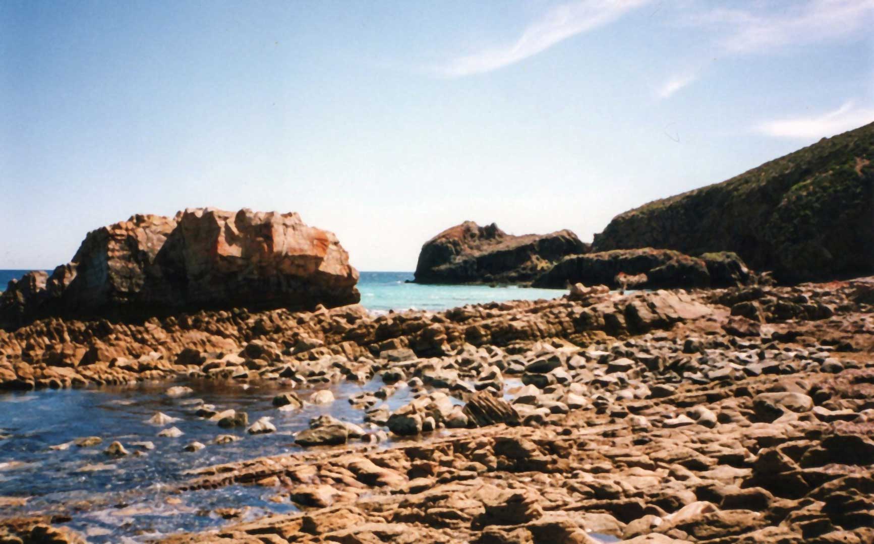 Fossils at the Emu Bay, a Cambrian Konservat-Lagerstätte